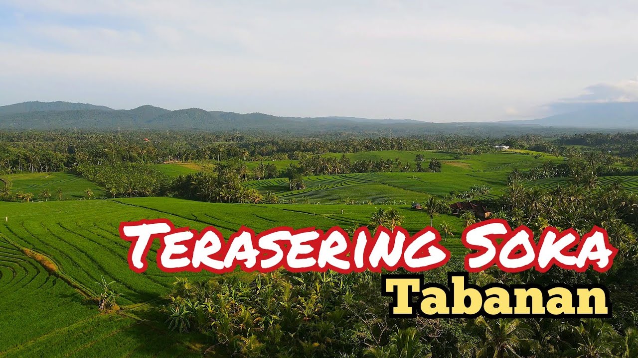Terasering Soka Tabanan. - YouTube