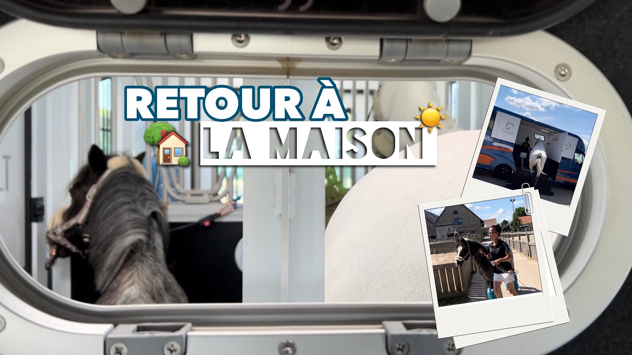 DE RETOUR À LA MAISON 🏠🐴- épisode 06 - YouTube