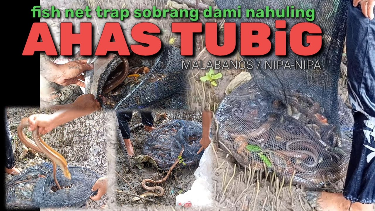 PART 1 BUKATOT FISH TRAP NAPAKARAMING HULING AHAS TUBIG/MALABANUS/EEL ...