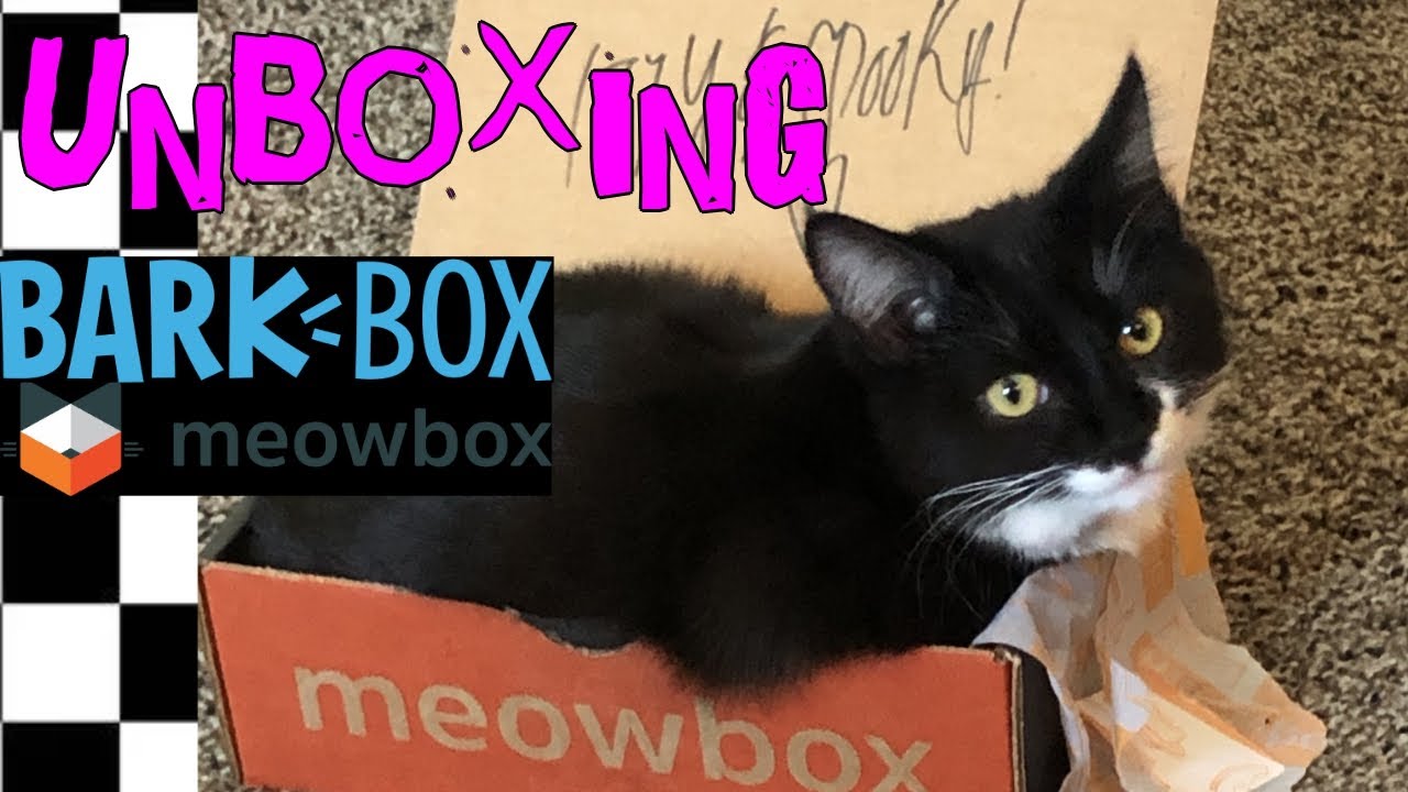 Unboxing: MeowBox and BarkBox - YouTube