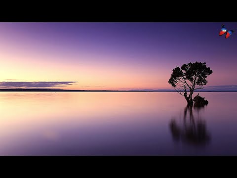 Love Frequency  |  Ode to Fon