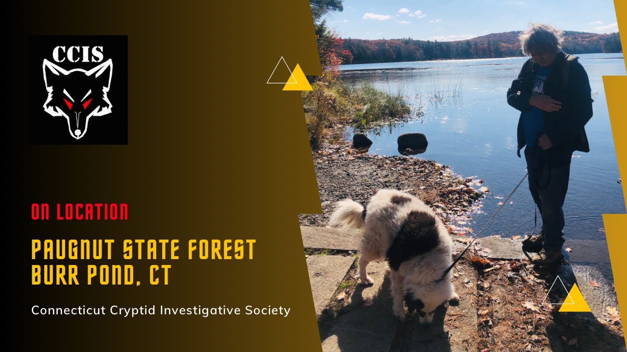 CCIS | On Location | Paugnut State Forest | Torrington CT - YouTube