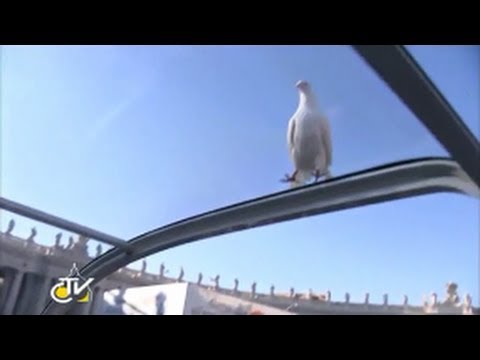 El Papa y la Paloma - YouTube