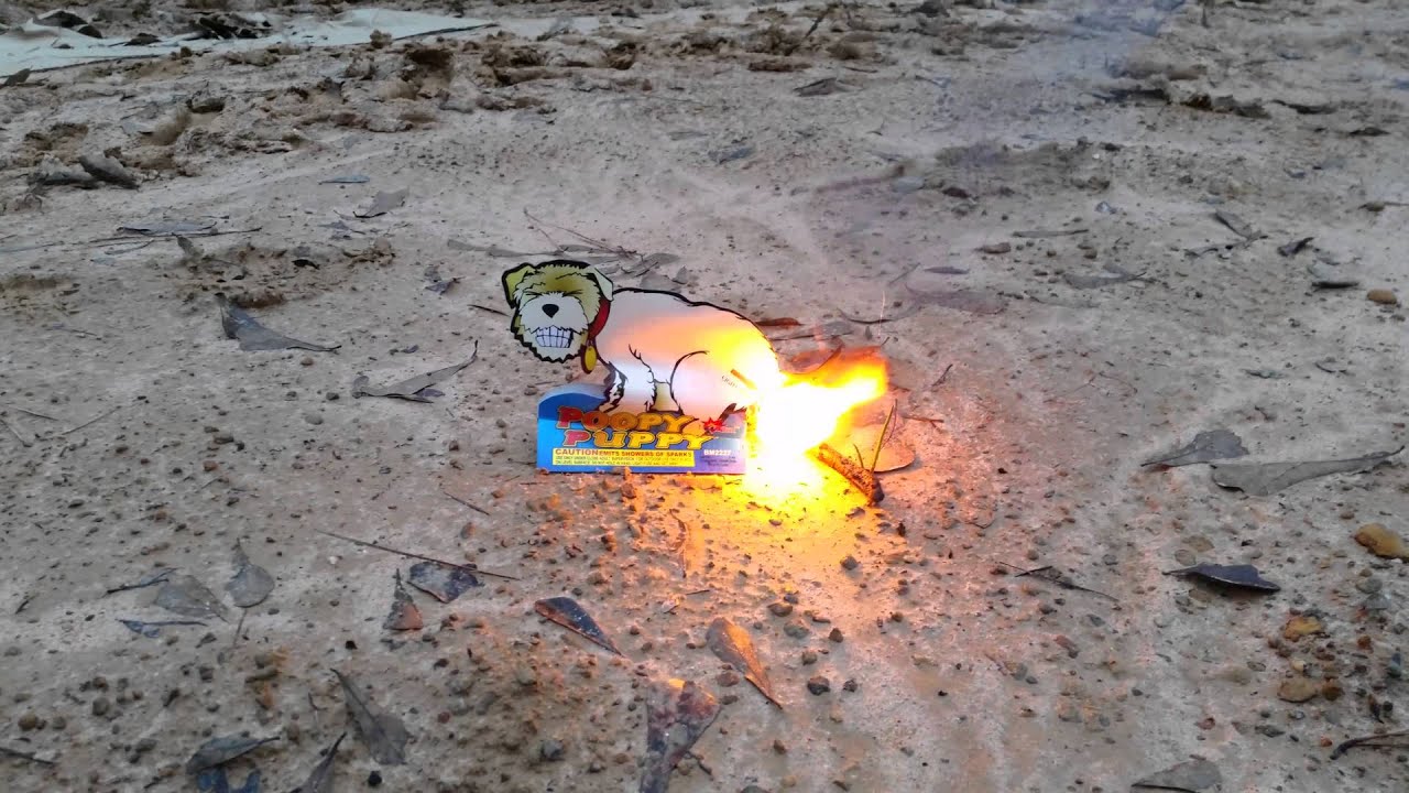 Pooping puppy firework...hilarious - YouTube