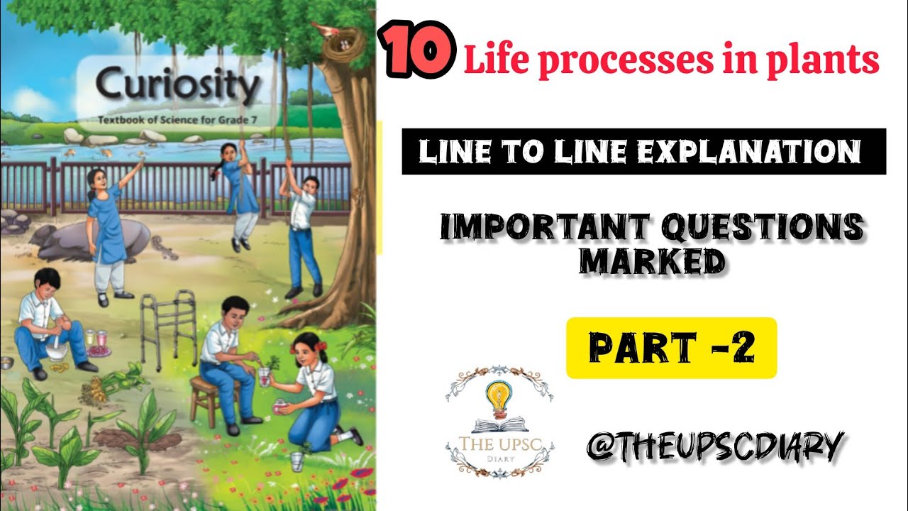(Part -2) life processes in plants| class 7 science chapter-10 NCERT ...