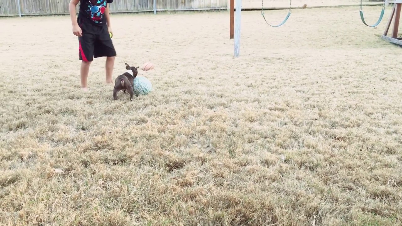 Groot learns soccer - YouTube