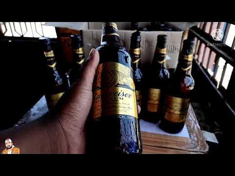 Budweiser Magnum strong beer unboxing 2022 - YouTube