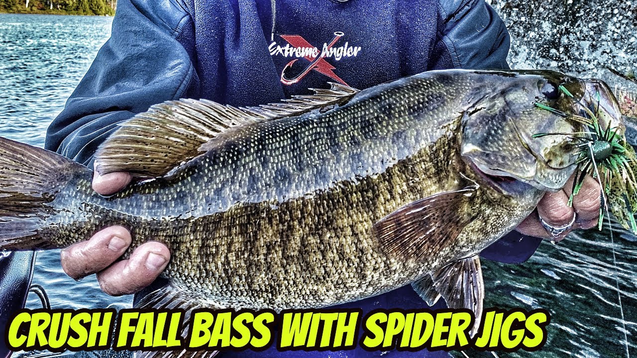 CRUSH FALL BASS WITH SPIDER JIGS- How to Fish these jigs! - YouTube