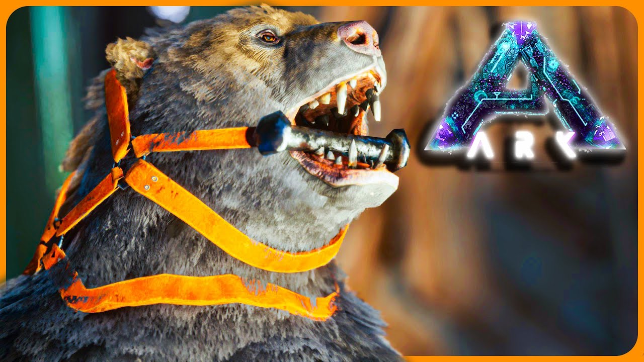 TAMING A BIG CUDDLY BEAR! | ASA Aberration Ep22 - YouTube