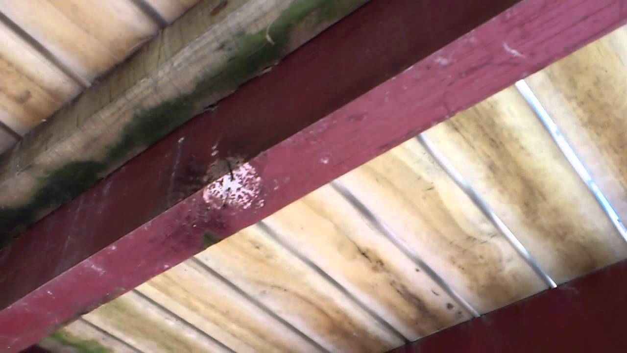 Bad deck Building & unsafe put together by Housing NZ contractors - YouTube