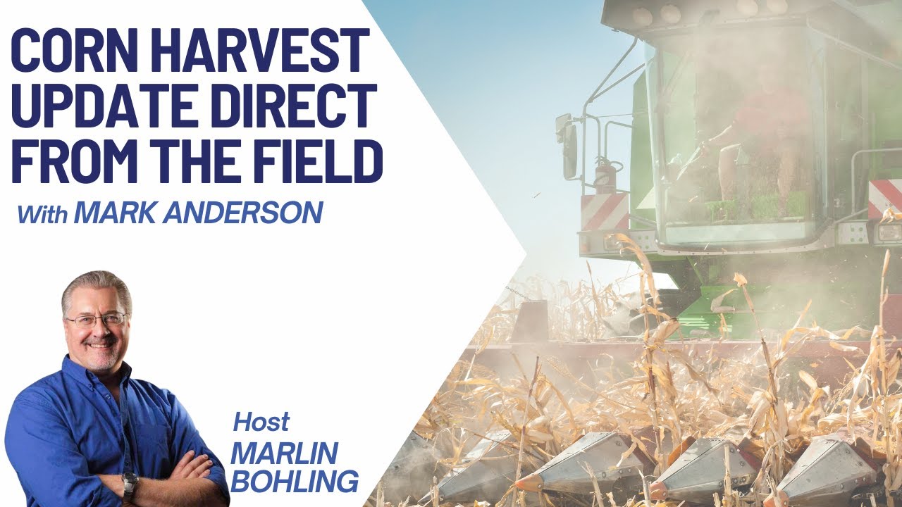 Corn Harvest Update Direct From The Field With Mark Anderson - YouTube