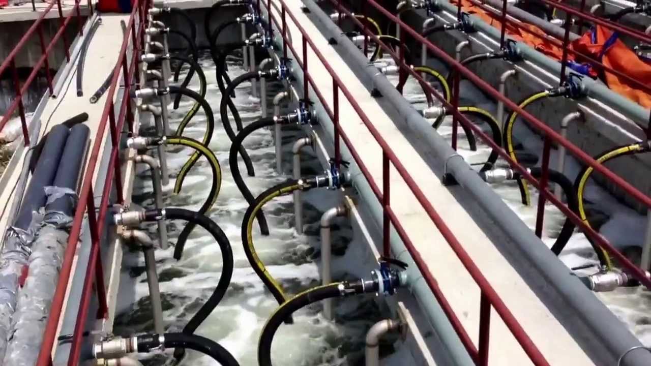 Membrane Tanks + blower - YouTube