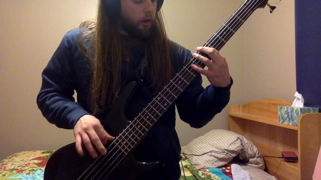 polyphia transcend: bass cover - YouTube