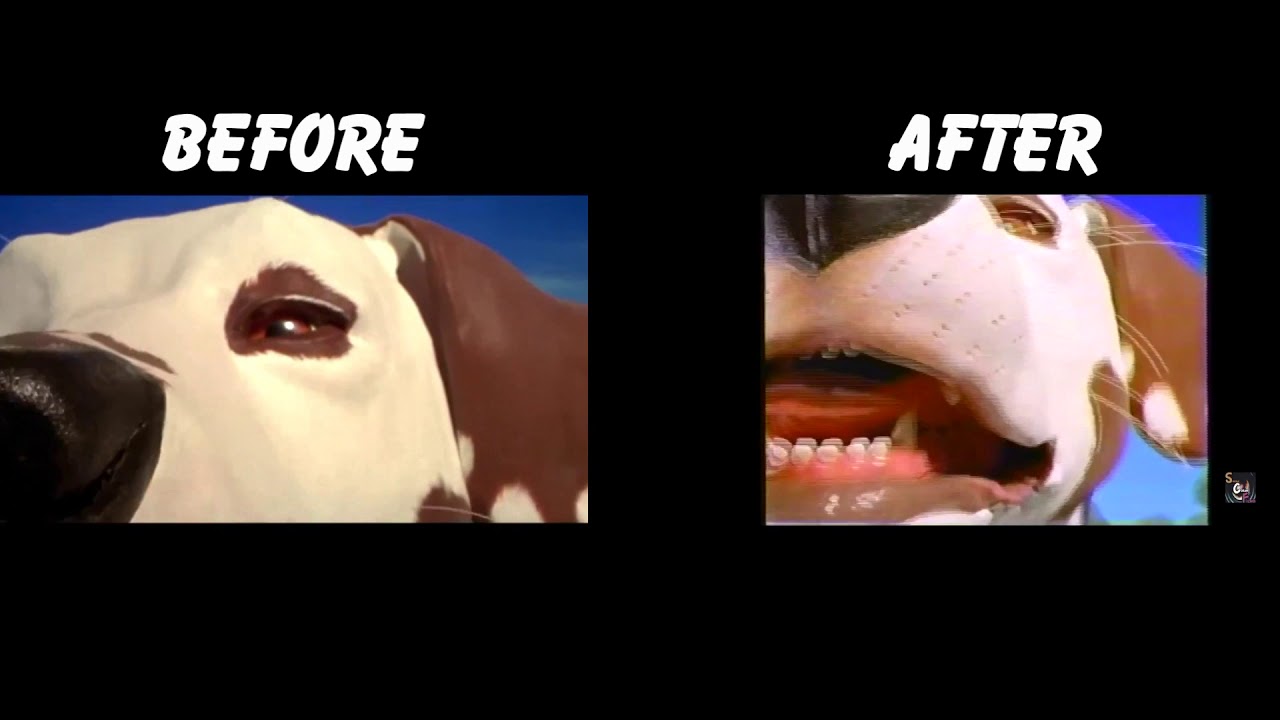 Nick Jr Id Dogs 1997 Youtube Nick Jr. Up Next/Dog/Blue's Clues Bumper