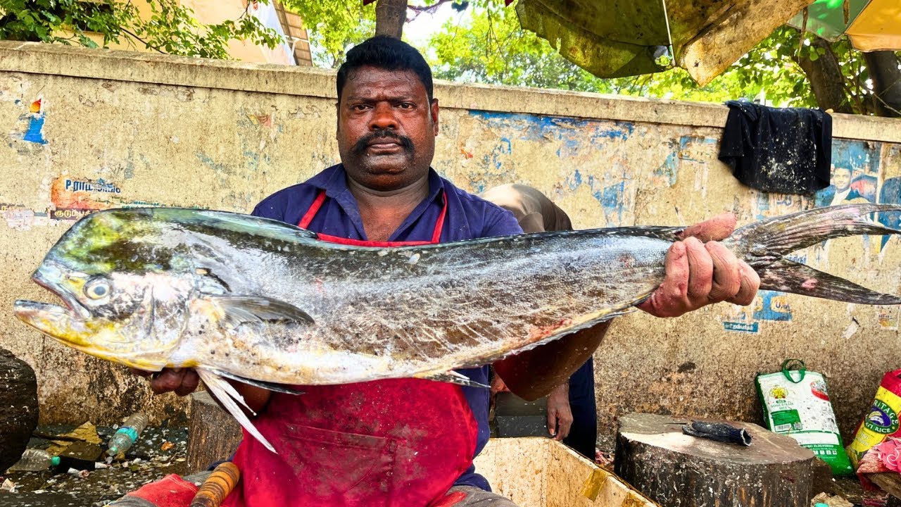 KASIMEDU SPEED SELVAM MAHI MAHI PARLA FISH CUTTING VIDEO / cutting ...