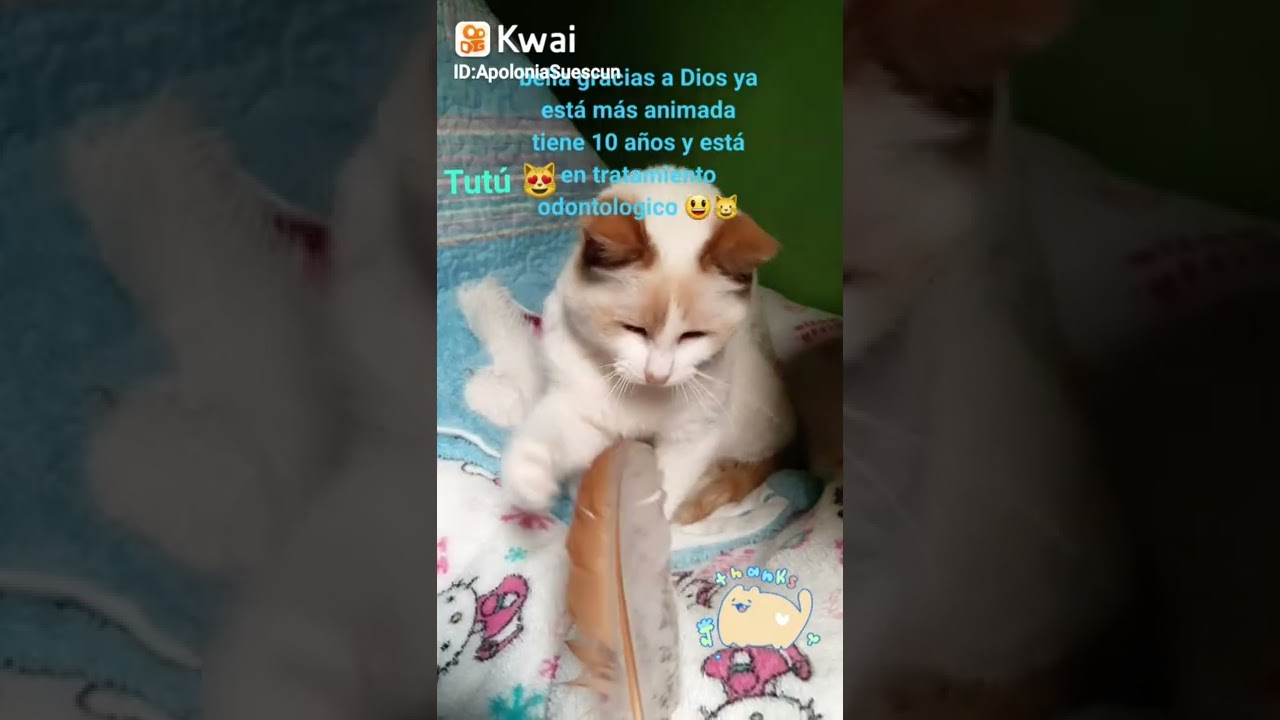 Linda Gatica Tutú - YouTube