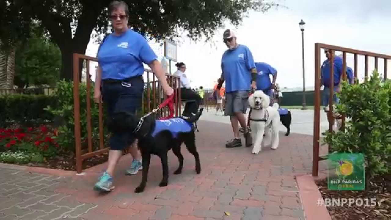 BNP Paribas Open Stars Meet Guide Dogs - YouTube