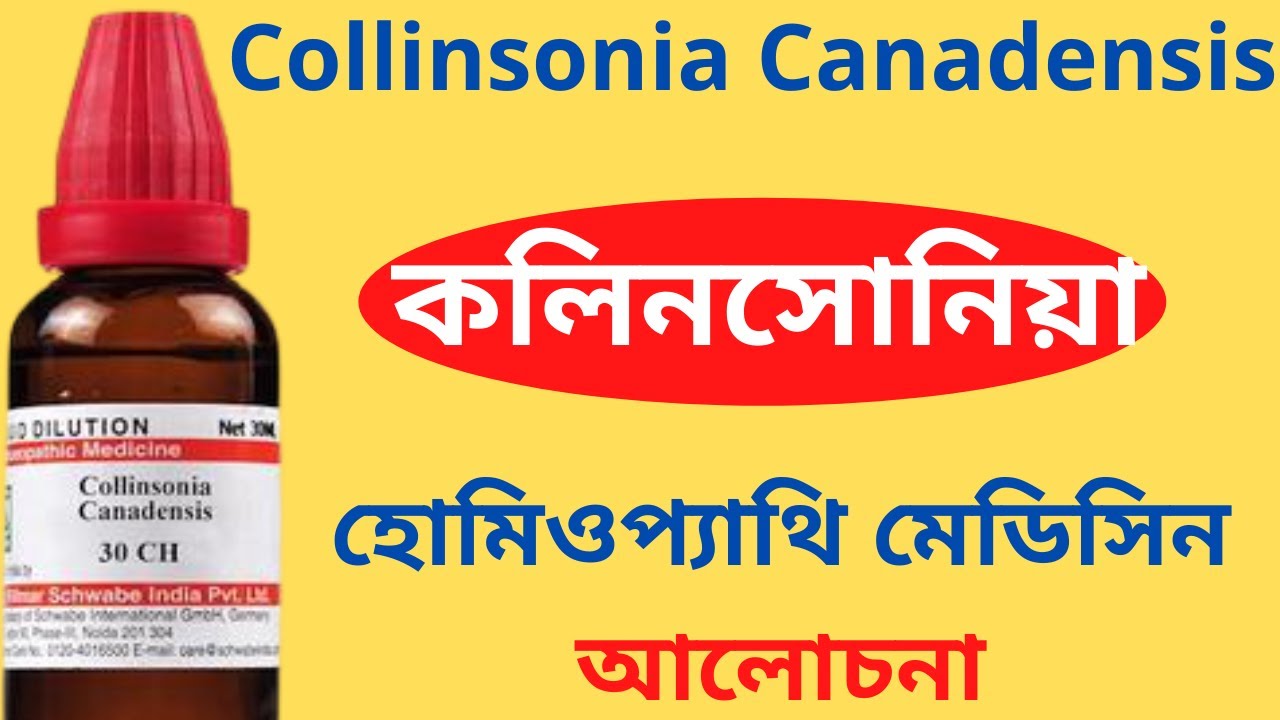 Collinsonia Canadensis Homeopathic Medicine Explain? Collinsonia 30 ...