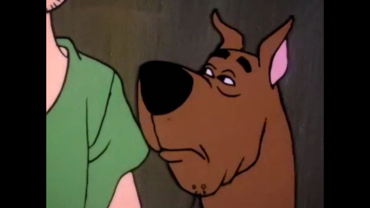 Scooby tem uma DÚVIDA - YouTube