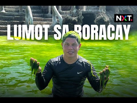 Lumot sa Boracay | NXT - YouTube