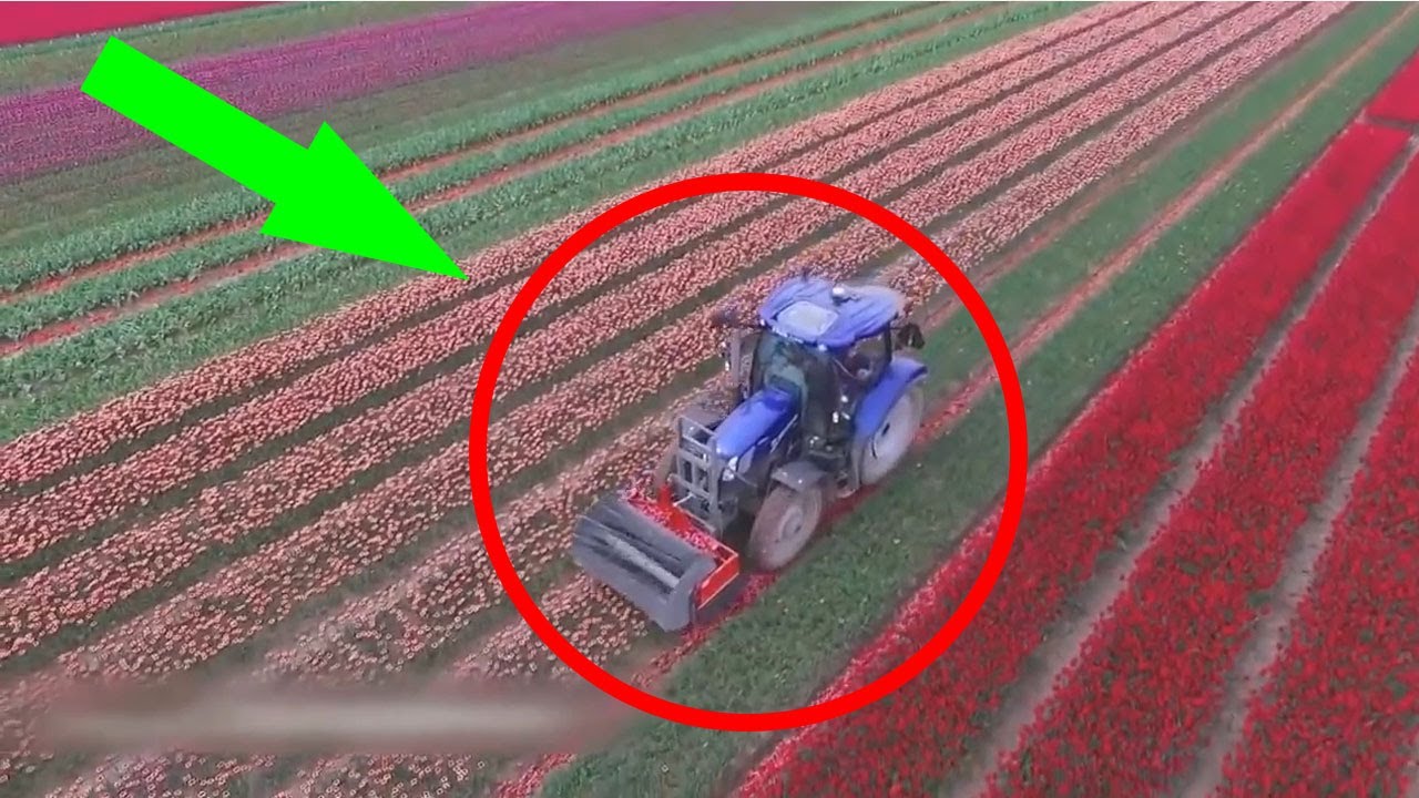 The World's Most Amazing Technology - Agriculture - YouTube