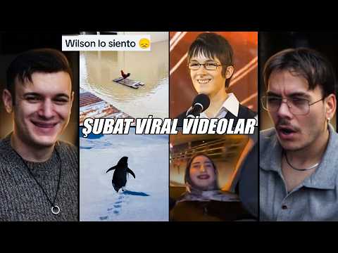 ŞUBAT İNTERNET DOZU | alexander yrk, nihilist penguen, wilson lo siento, Türk Cinematic Universe
