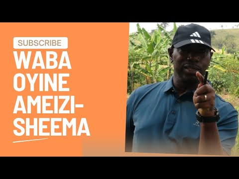 waba oyine ameizi-Sheema - YouTube