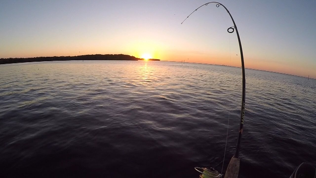 Catching the sunset. - YouTube