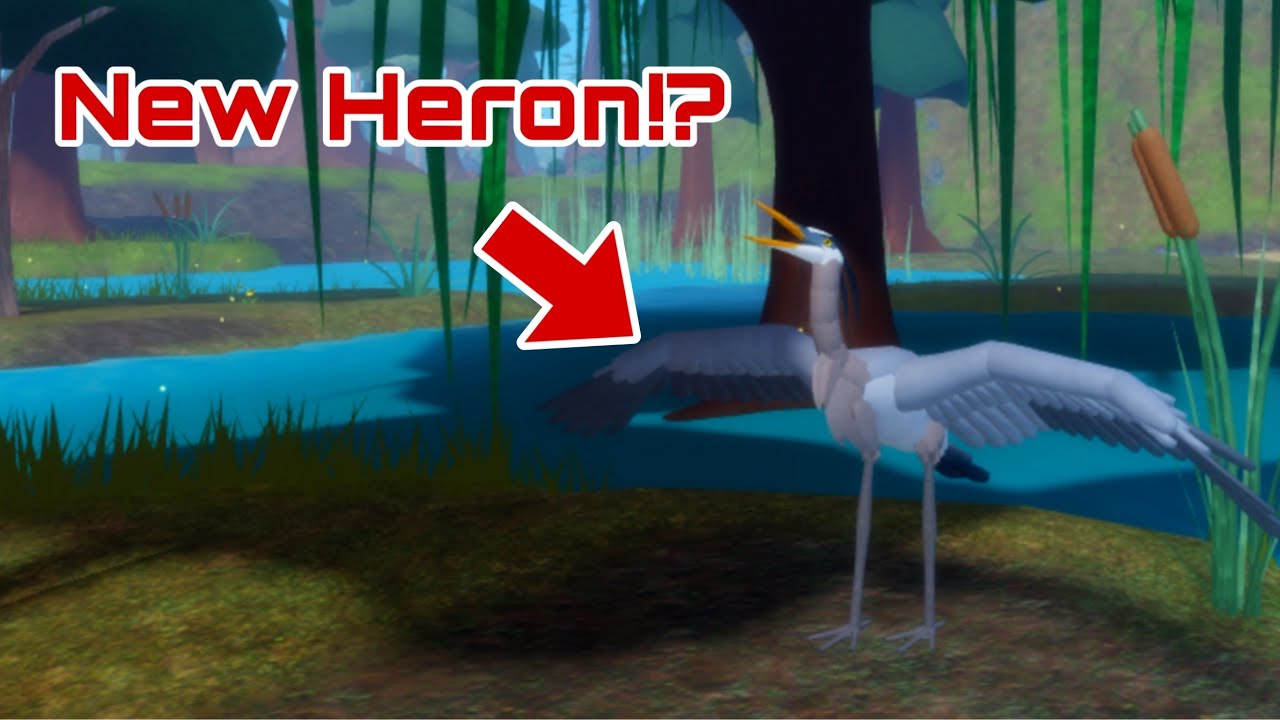 The New Heron And Egret Are Awesome! (Roblox Feather Family) - YouTube