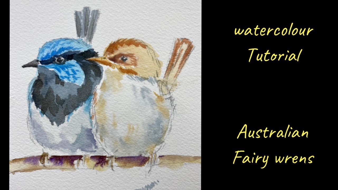 Watercolour tutorial , australian fairy wrens - YouTube