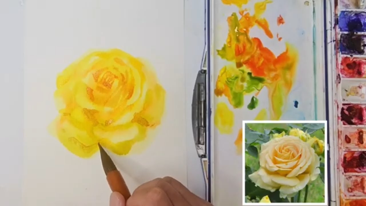 How to paint a rose without draft水彩畫玫瑰全程解說 - YouTube
