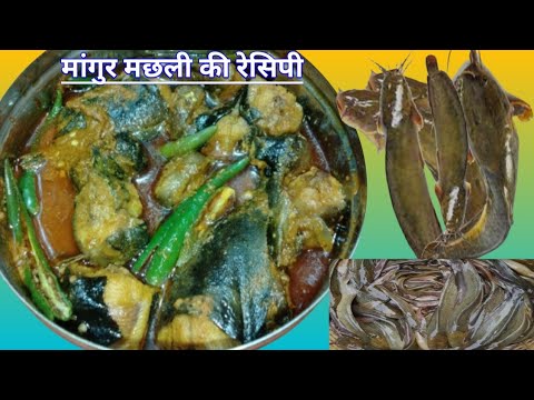 मांगुर मछली बनाने का नया तरीका !!🤔🧐 Mangur Machli Recipe ! Bengali ...