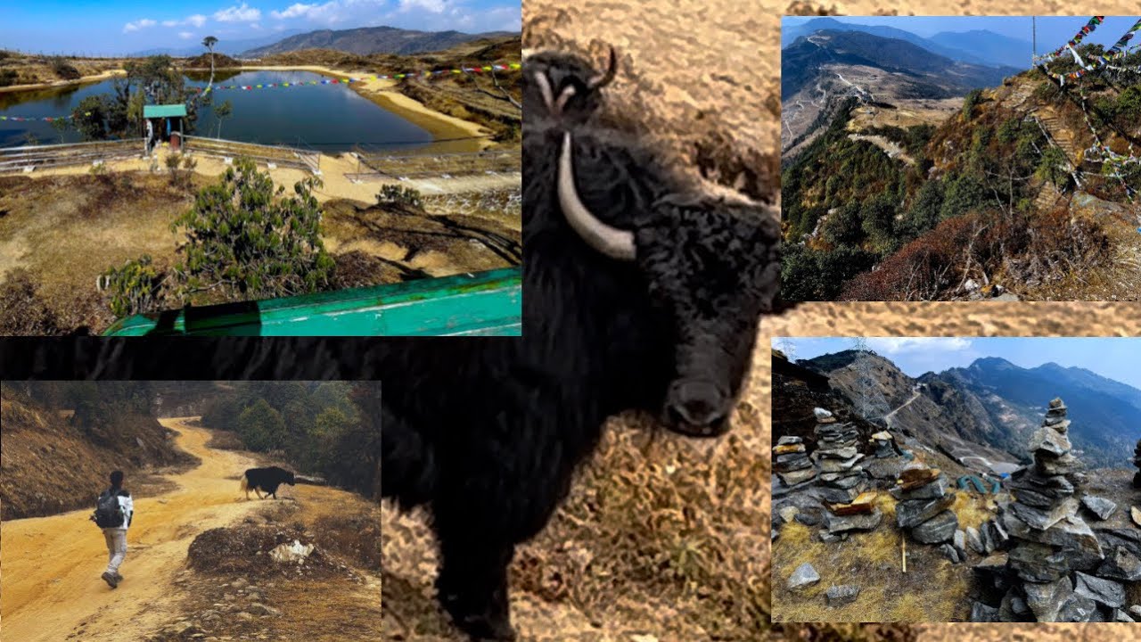 Gufapokhari$tinjure milke sano clips ramailo clips - YouTube