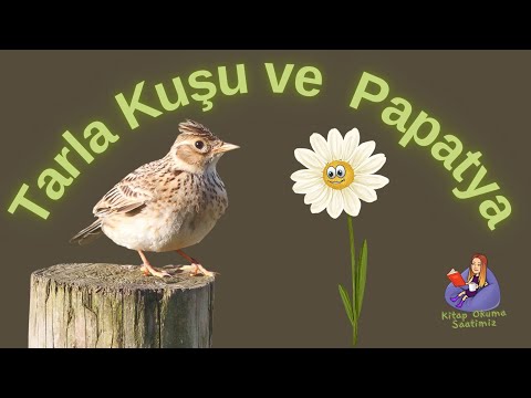 Tarla Kuşu ve Papatya - Hans Christian Andersen- Sesli Masal Dinle