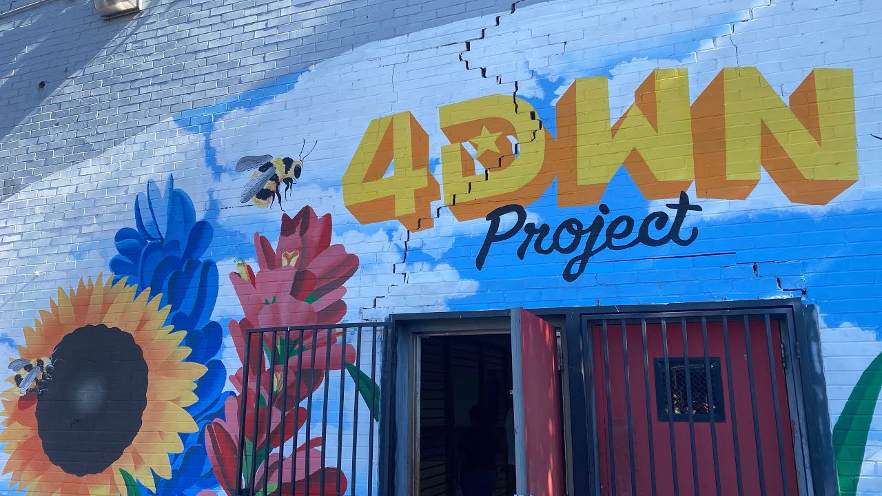 The 4DWN Experience presented by EarthxFilm and Dickies Nov 5th 2022 ...