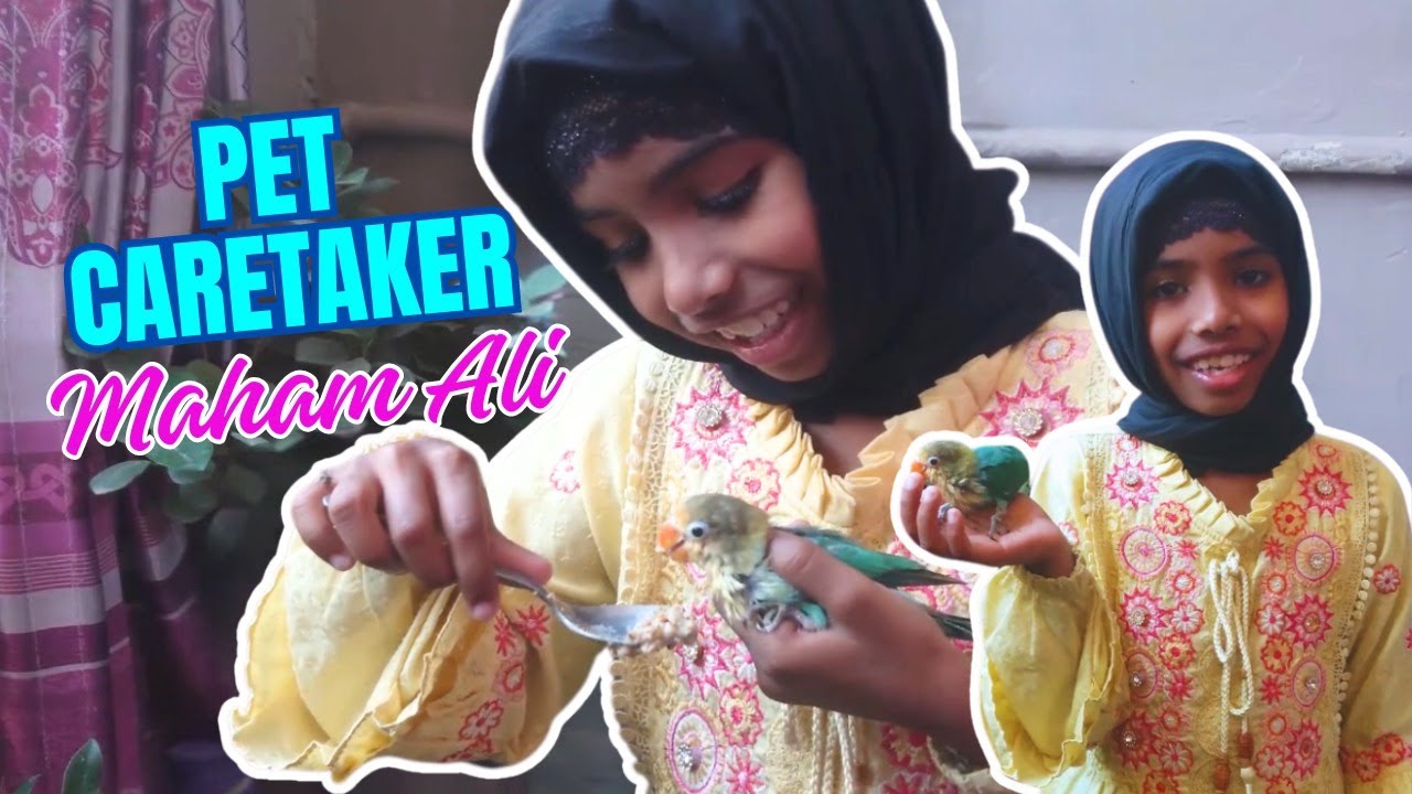 Meet Mahum Ali | The Dedicated Pet Caretaker - Animal Lover & Friend to ...