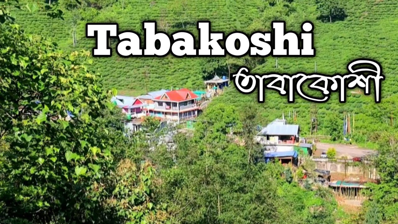 Greenview Homestay Tabakoshi//Tabakoshi//Tabakoshi greenview homestay ...