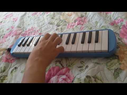 Erik Dalı Gevrektir- melodika