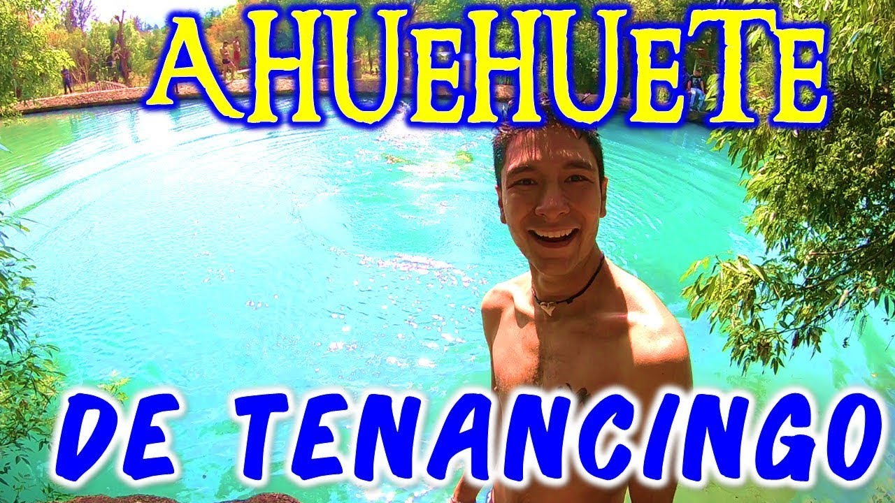El Santuario de Agua - El Hermoso Ahuehuete de Tenancingo Estado de ...