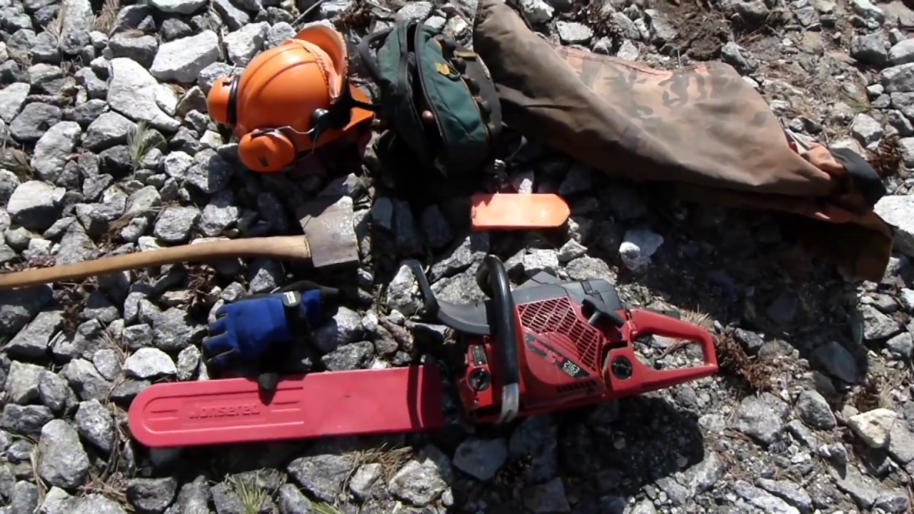 Directional Felling 101 - How to Safely Cut Down a Tree - YouTube