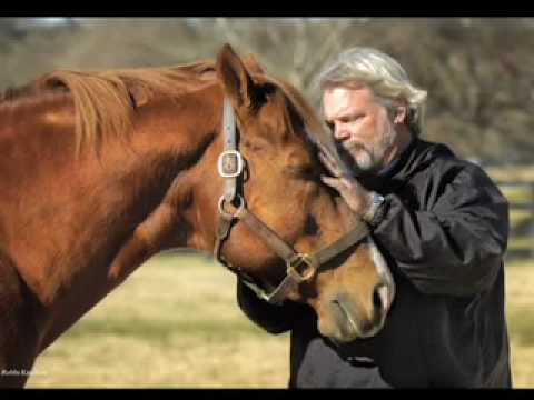 Los Alamitos stallion segment - First Down Dash - YouTube