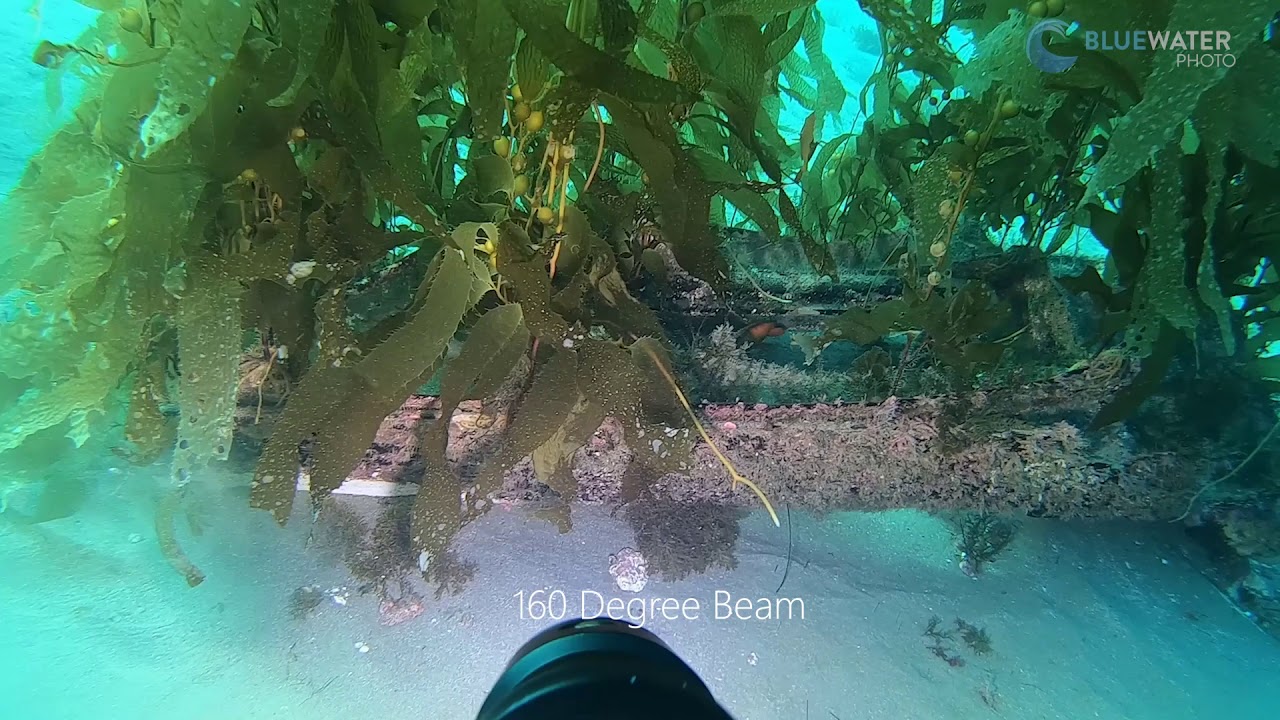 Big Blue 15,000 Lumens Tri Color Light - YouTube