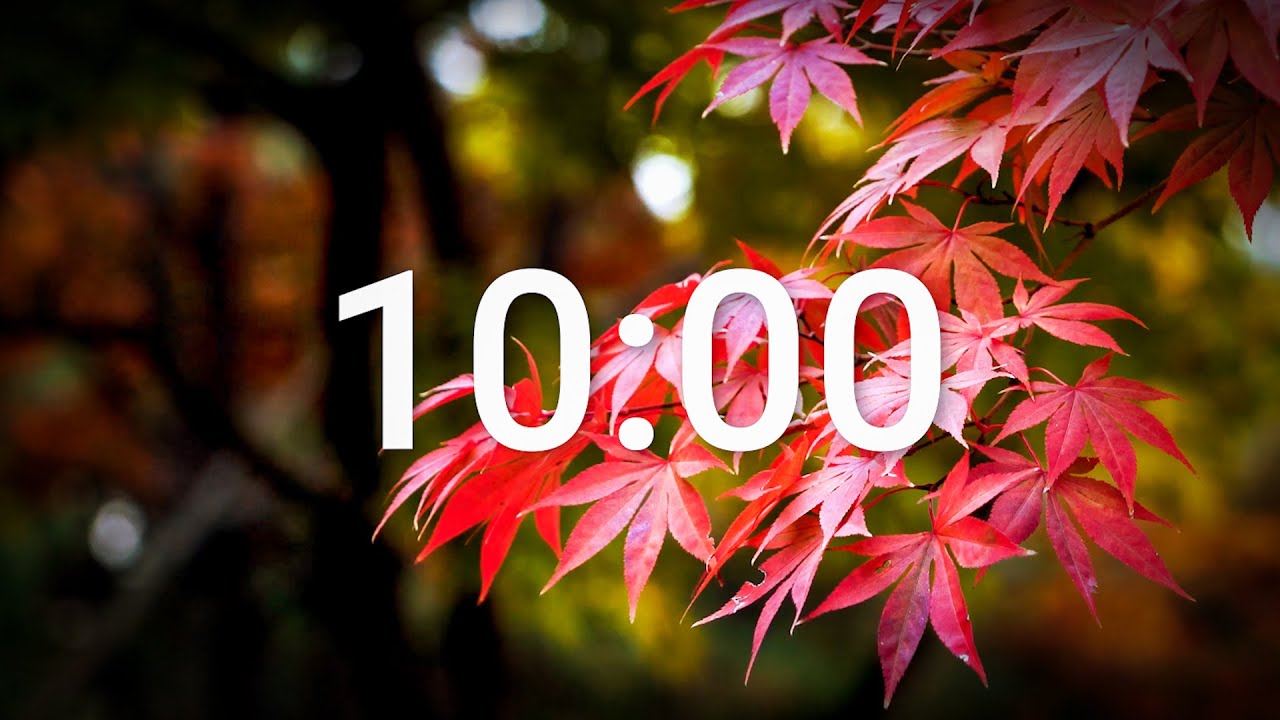 Autumn leaves with relaxing music - 10 minutes countdown timer - YouTube