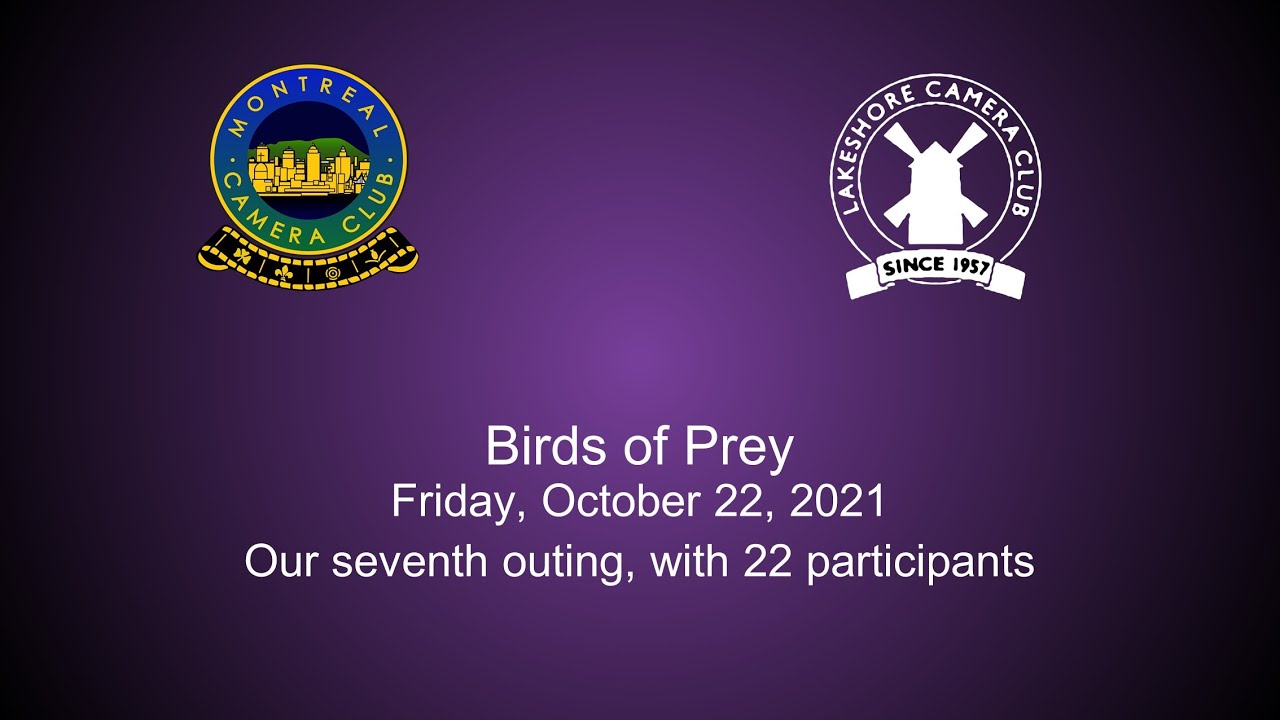 Birds of Prey Outing - YouTube