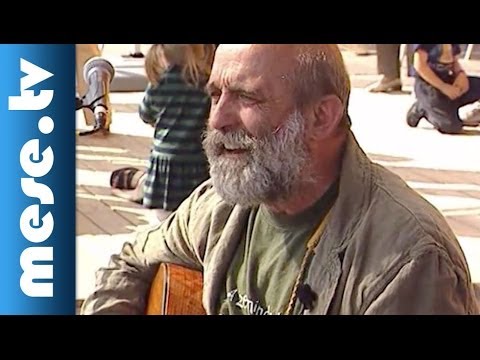 Gryllus Vilmos: Harkály (gyerekdal, koncert részlet) | MESE TV - YouTube