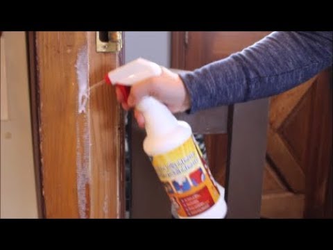 Dissolvant de colle et d’adhésif EZ Strip - YouTube