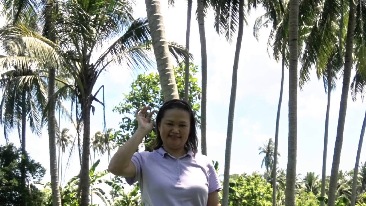 A day in the farm - YouTube