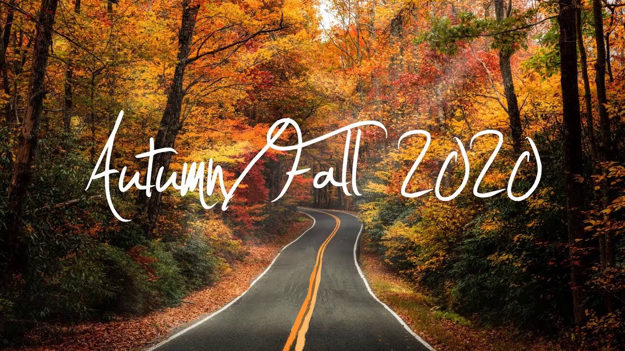 Indie Indie Folk Compilation Autumn Fall 2020 - YouTube