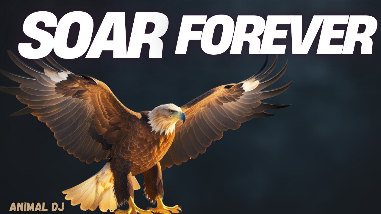 SOAR FOREVER - EAGLE SONG | Animal & NATURE SONGS - YouTube