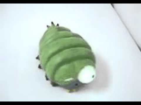 Animated Magnificient Maggot - YouTube